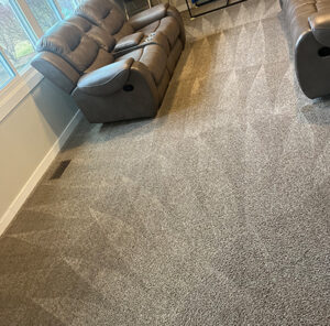 Carpet Cleaning in Ann Arbor, MI | Free Estimate | Call Now